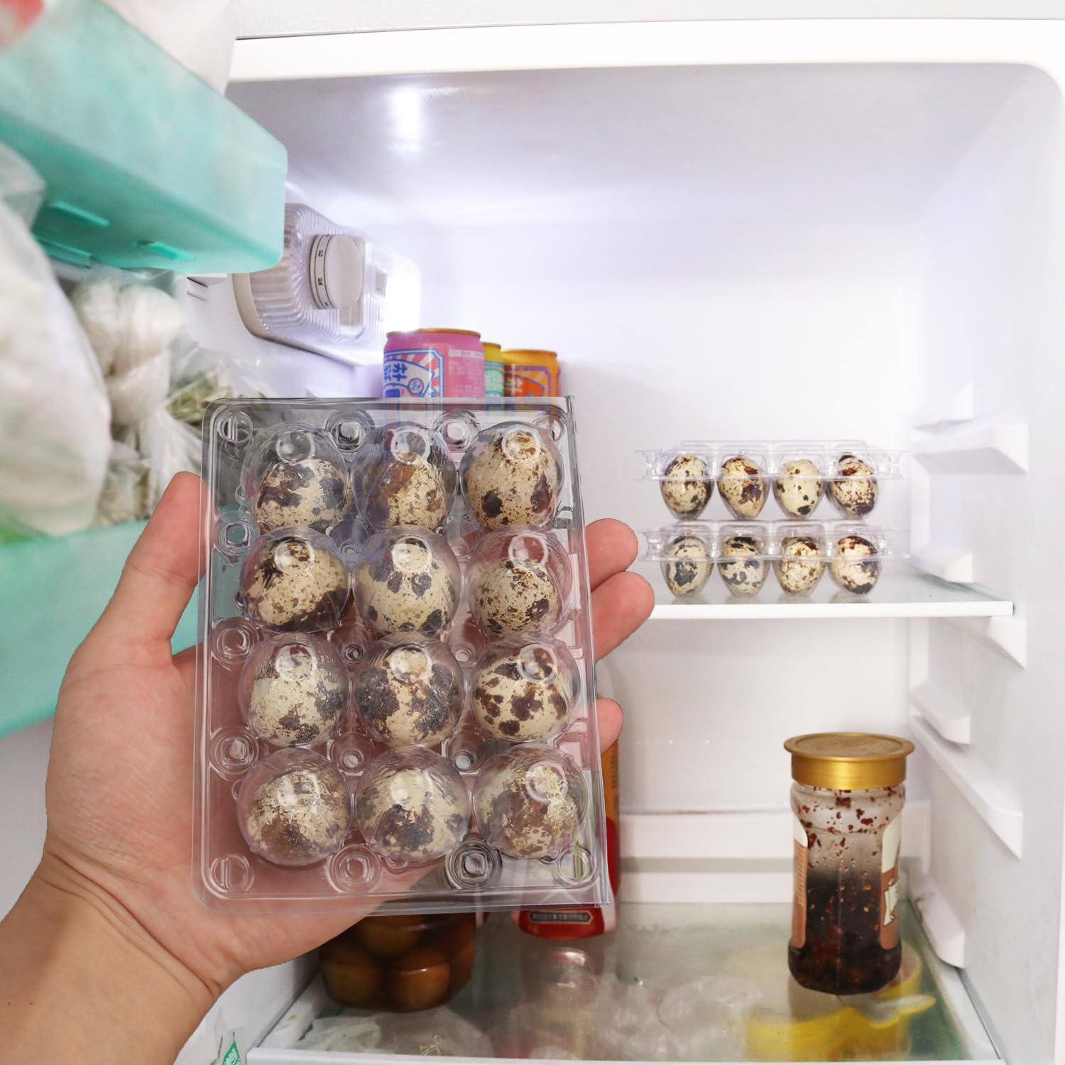 KUKLIPJIM 200 Pack Quail Egg Cartons, Clear Plastic Quail Egg Trays, Holds up to 12 Quail Eggs Securely - Your Ultimate Small Eggs Carton Holders for Bulk Storage and Display