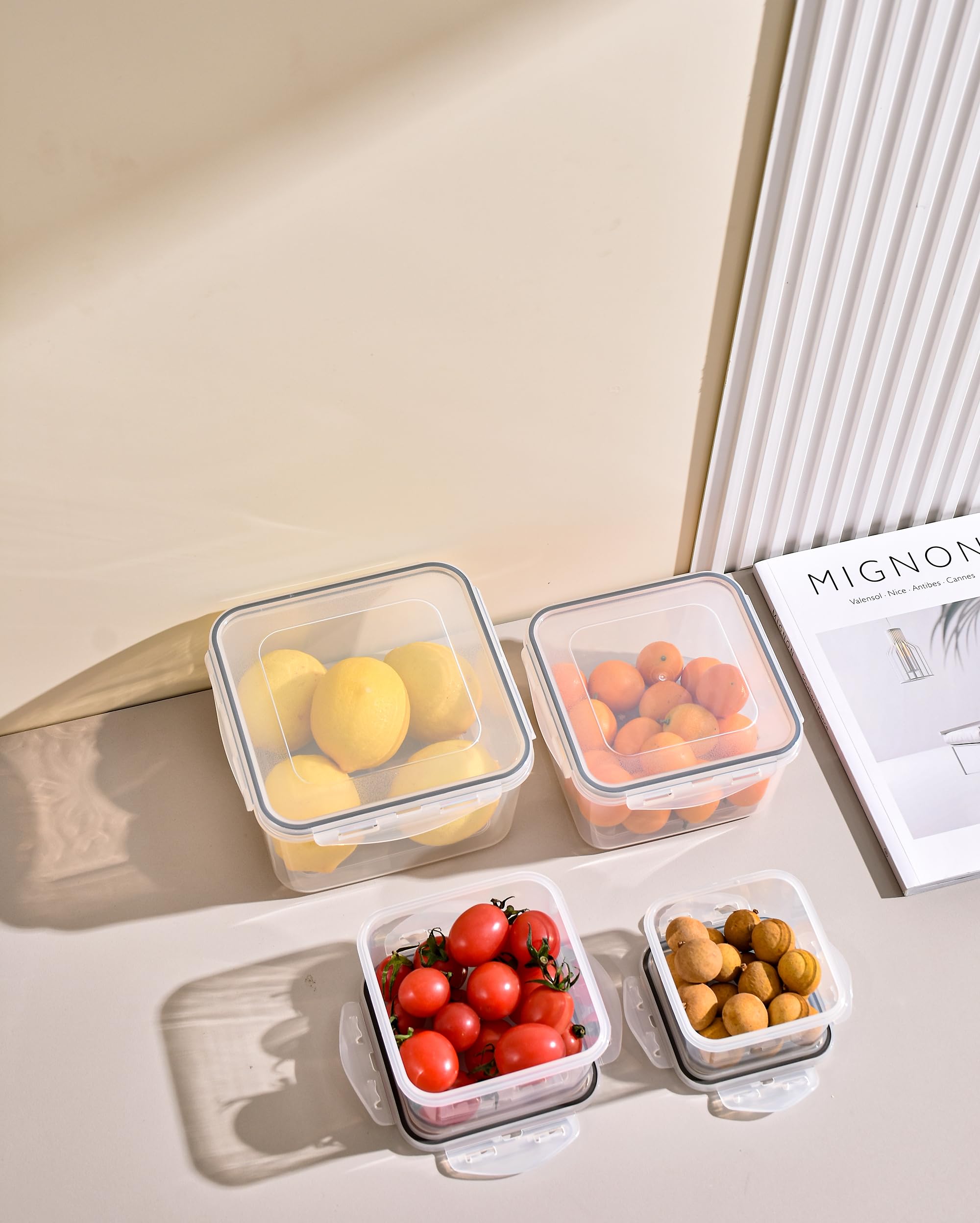Class Frogs 32 high-capacity food storage containers (16 containers+16 lids), lunch box, bread storage box, pantry and kitchen container, leak proof, BPA free, Transparent, CNTZ-A111