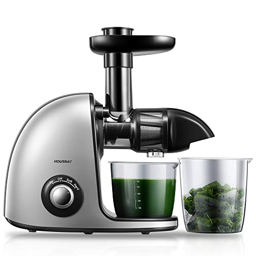 Slow Juicer Machines, HOUSNAT Cold Press Juicer Extractor for Fruits & Vegetables Easy to Clean, 2-Speed Mode with Quiet Motor & Reverse Function, Slow Masticating Juicer with Recipe (Silver Gray)