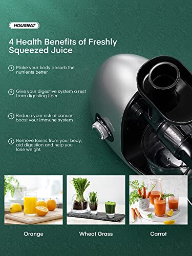 Slow Juicer Machines, HOUSNAT Cold Press Juicer Extractor for Fruits & Vegetables Easy to Clean, 2-Speed Mode with Quiet Motor & Reverse Function, Slow Masticating Juicer with Recipe (Silver Gray)