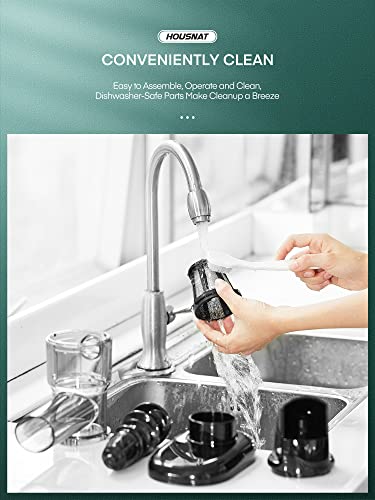 Slow Juicer Machines, HOUSNAT Cold Press Juicer Extractor for Fruits & Vegetables Easy to Clean, 2-Speed Mode with Quiet Motor & Reverse Function, Slow Masticating Juicer with Recipe (Silver Gray)