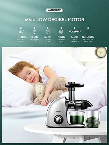 Slow Juicer Machines, HOUSNAT Cold Press Juicer Extractor for Fruits & Vegetables Easy to Clean, 2-Speed Mode with Quiet Motor & Reverse Function, Slow Masticating Juicer with Recipe (Silver Gray)