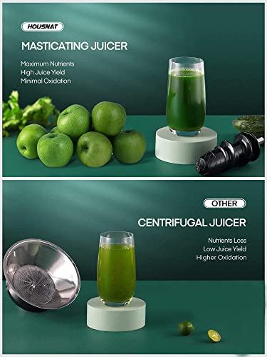 Slow Juicer Machines, HOUSNAT Cold Press Juicer Extractor for Fruits & Vegetables Easy to Clean, 2-Speed Mode with Quiet Motor & Reverse Function, Slow Masticating Juicer with Recipe (Silver Gray)
