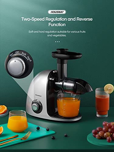 Slow Juicer Machines, HOUSNAT Cold Press Juicer Extractor for Fruits & Vegetables Easy to Clean, 2-Speed Mode with Quiet Motor & Reverse Function, Slow Masticating Juicer with Recipe (Silver Gray)
