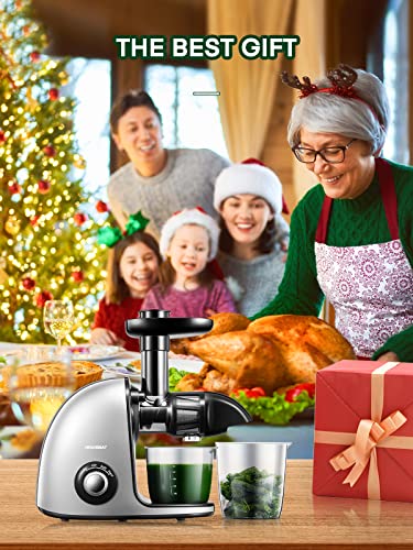Slow Juicer Machines, HOUSNAT Cold Press Juicer Extractor for Fruits & Vegetables Easy to Clean, 2-Speed Mode with Quiet Motor & Reverse Function, Slow Masticating Juicer with Recipe (Silver Gray)