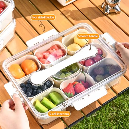 2 Pack Portable Picnic Parties Fruit Tray, 9 Compartment Fridge Food Veggie Condiment Divided Serving Preservation Storage Containers, Kitchen Clear Snackle Box Candy Organizer with Lid Handle