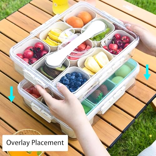 2 Pack Portable Picnic Parties Fruit Tray, 9 Compartment Fridge Food Veggie Condiment Divided Serving Preservation Storage Containers, Kitchen Clear Snackle Box Candy Organizer with Lid Handle