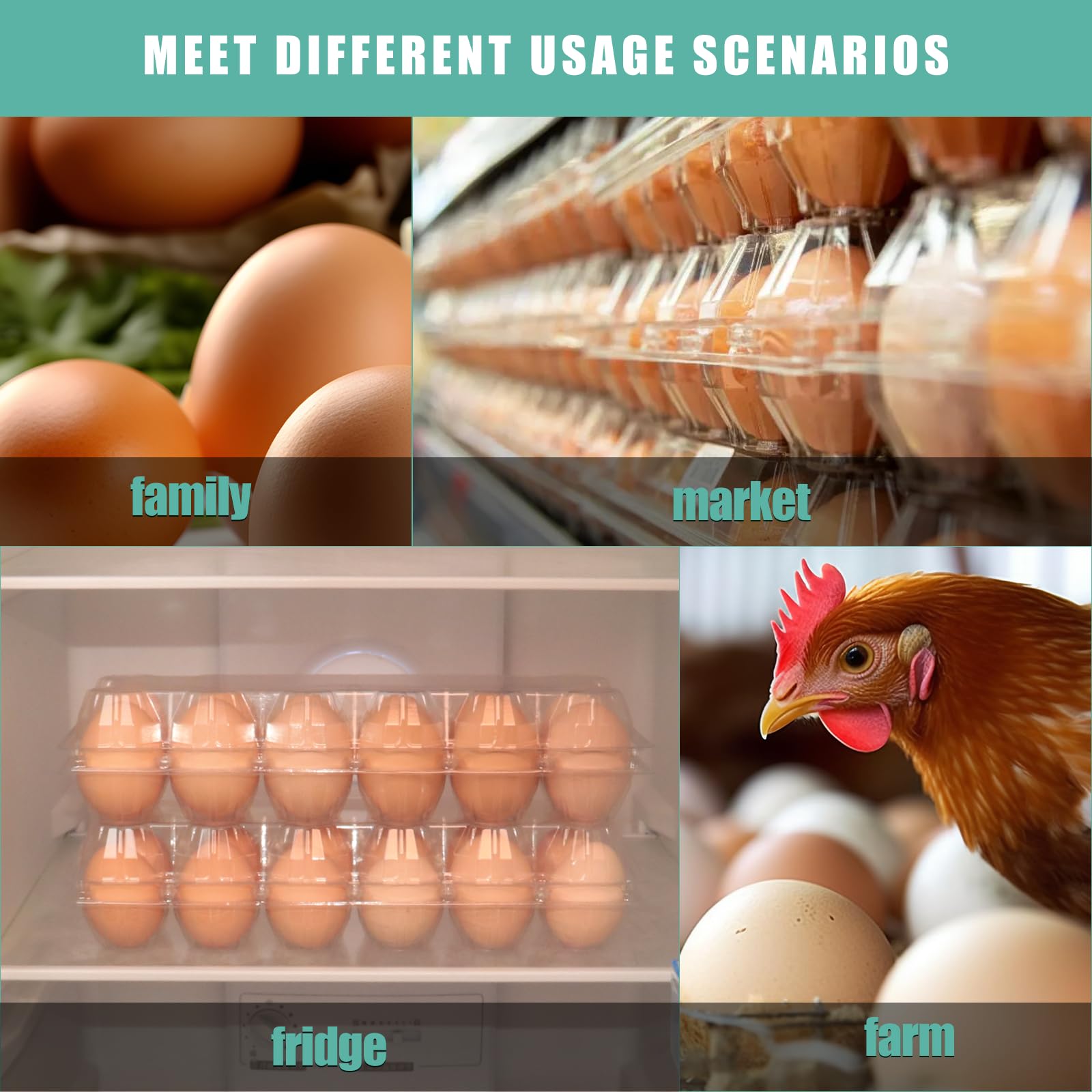 SINLUCESCE 60 Packs Egg Cartons Cheap Bulk,Plastic Egg Carton for 12 Eggs, Clear Egg Carton 2 * 6 Grids,Perfect for Refrigerator Chicken Farm Markets Commercial Business Market Display, Large