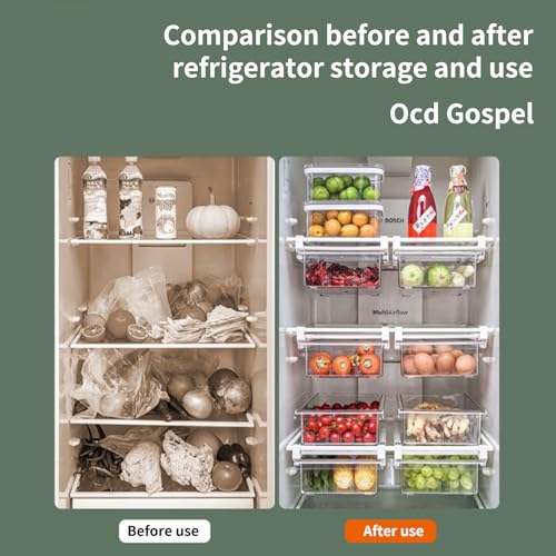 BLCEE Pet Drawer-style Refrigerator Storage Box - Large Capacity Sealed Fresh-keeping Box, Transparent Kitchen Storage Bin, Egg Carton