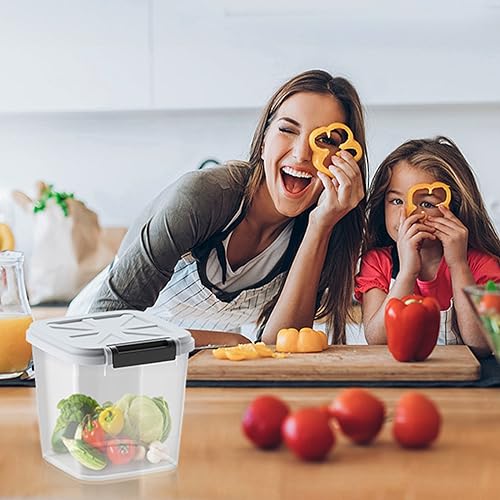 LivLab 10LBS Flour Container - Rice Dispenser 10LBS/5KG/5Qt Food Cereal Container Bins with Measuring Cup for Household Pantry Organization (10 LBS)