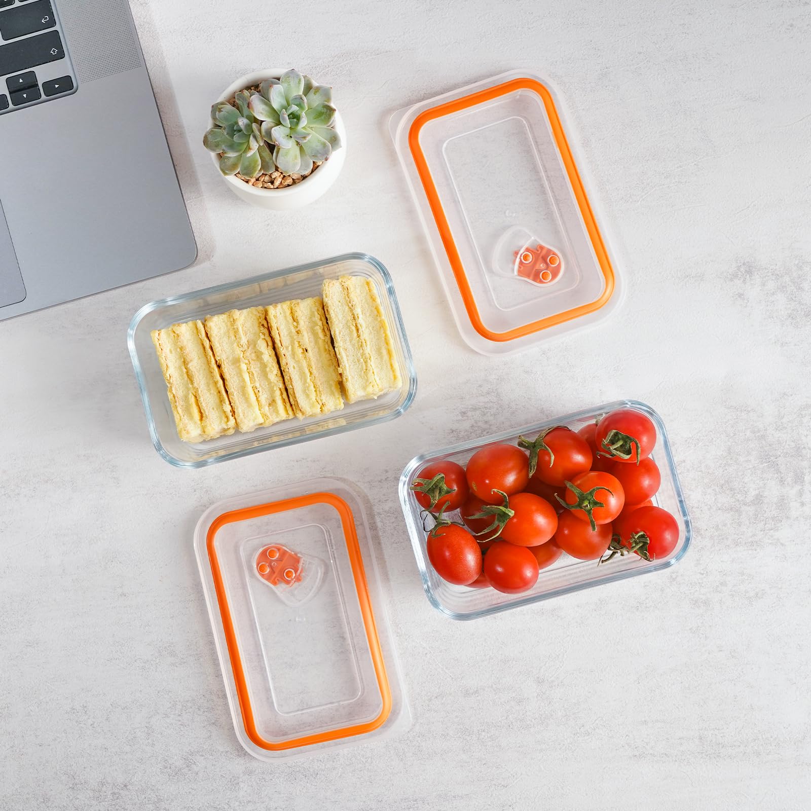 NUTRIUPS 16oz Glass Food Storage Containers with Lids, Set of 2 Reusable Meal Prep Containers, Glass Lunch Box, Lunch Containers