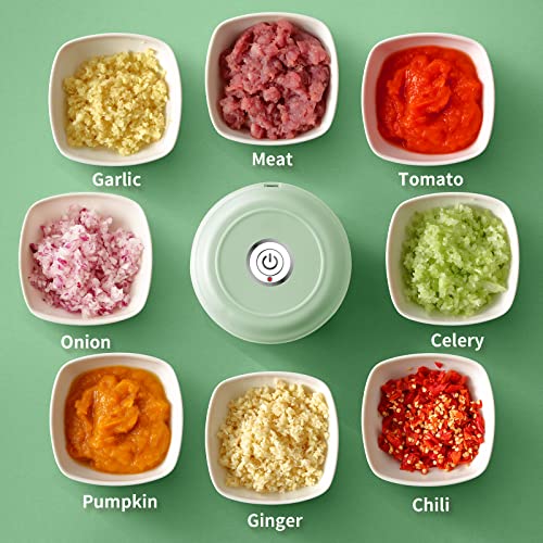 RUPOHU Wireless Electric Mini Food Choppers, Green Powerful Electric Garlic Chopper,Small Food Processor For Garlic Pepper Chili Onion Celery Ginger Meat with Spoon and Brush(100+250ml)
