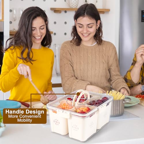 PYQTH Fruit Storage Containers for Fridge, Portable Divided Food Storage Containers with Lid and Handle, BPA-Free Saver Refrigerator Food Organizer Bins with 1 Brush for Veggies Fruit, 4 Compartments