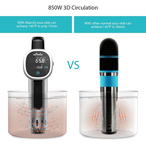 Sous Vide Cooker, Wancle Thermal Immersion Circulator, with Recipe E-Cookbook, Accurate Temperature Digital Timer, Ultra-quiet, 850 Watts, 120V, Stainless Steel/Black