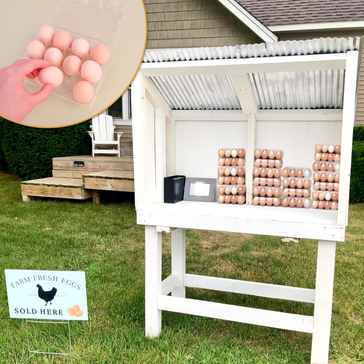 KUKLIPJIM 100 Pack Bulk Egg Cartons, Clear Plastic Chicken Egg Holders, Egg Tray Carton Holder for Home & Kitchen, Farm & Market Use, An Eco-Friendly Egg Storage Solution, 12 Grids(Medium Size)