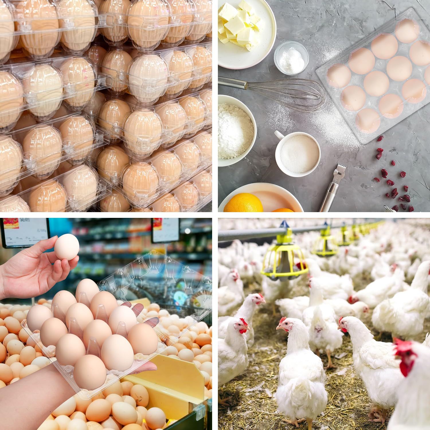 KUKLIPJIM 120 Pack Bulk Egg Cartons, Clear Plastic Chicken Egg Holders, Egg Tray Carton Holder for Home & Kitchen, Farm & Market Use, An Eco-Friendly Egg Storage Solution, 12 Grids