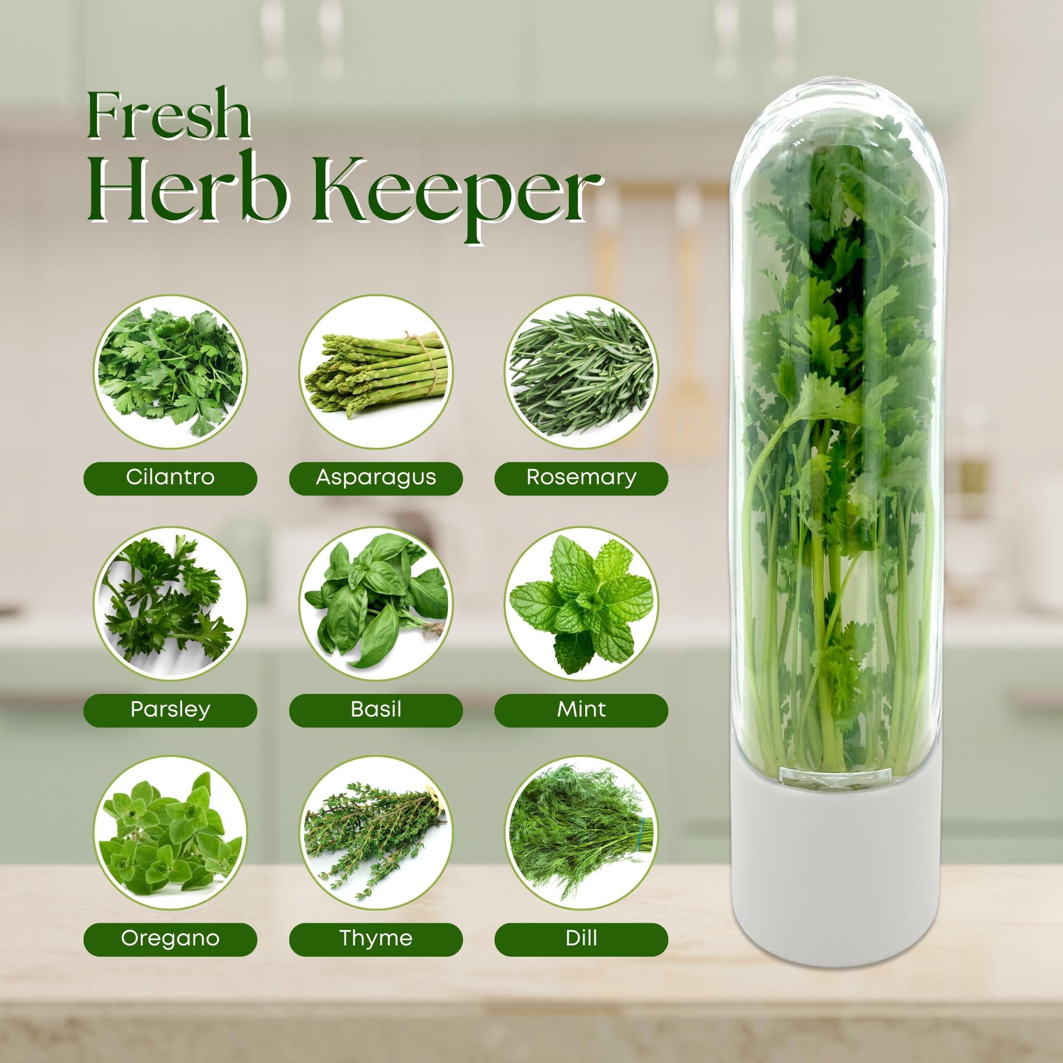 Happy Shopper Deluxe Herb Keeper for Refrigerator Set of 3 β Compact Herb Saver with Built-in Ventilation, and Water Reservoir β Keeps Herbs Fresh Longer in Fridge or Countertop