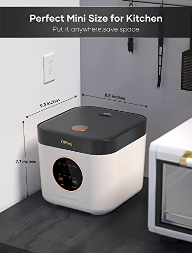 Rice Cooker, Mini Rice Cooker with Keep Warm, 3 Cups (Uncooked), Smart Fuzzy Logic, 24-H Delay Timer, Nonstick Inner Pot, for Soft White Rice, Brown Rice, Sushi, Porridge (Small)