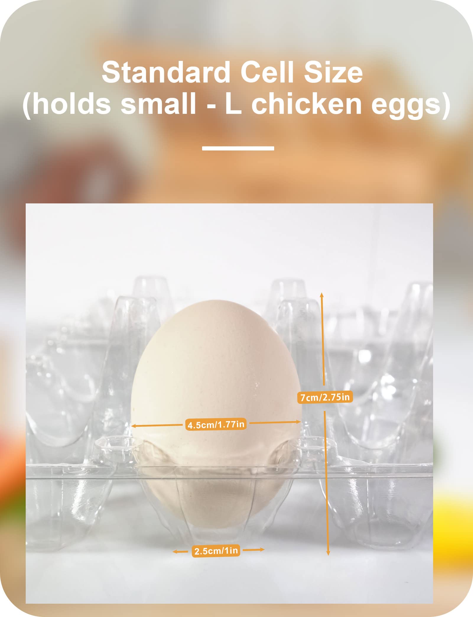 Pintuson 50 Pack Egg Cartons Cheap Bulk 12 Count - Holds 1 Dozen Clear Blank Egg Cartons for Chicken Eggs - Clear Empty Chicken Egg Carton for Fresh Medium Eggs