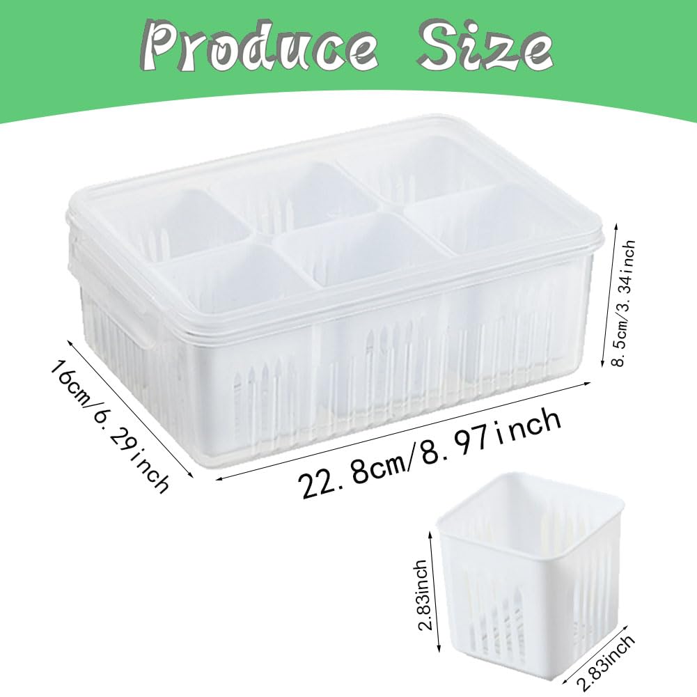 Rxsdeni Salad Bar Containers for Fridge,Reusable Kitchen Scallion Storage Box,Fresh Keep Container,Clear Berry Containers with Removable Dividers,for Ginger Scallion Fruit Lettuce Vegetables Meat