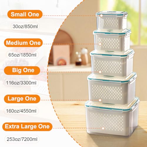 DOPHCOZFFY Airtight Fruit Storage Containers for Fridge with Removable Colander, Dishwasher Safe Produce Saver Container for Refrigerator (3 PCS fruit storage containers)