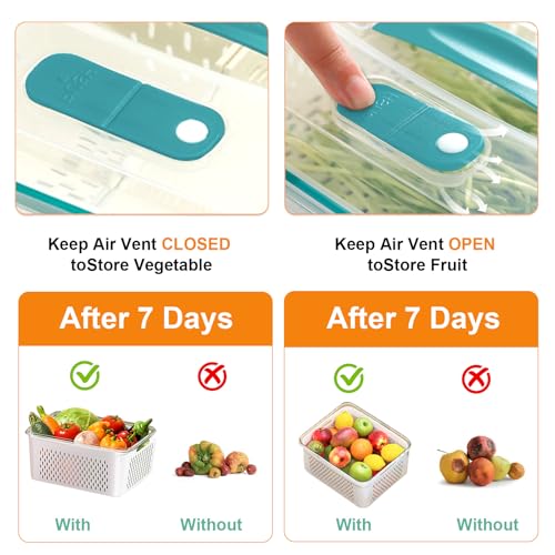 DOPHCOZFFY Airtight Fruit Storage Containers for Fridge with Removable Colander, Dishwasher Safe Produce Saver Container for Refrigerator (3 PCS fruit storage containers)