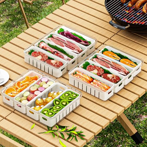 NestOrganix 2 Pack Snackle Box Container Serving Tray, Portable Snack Tray with Lid & Handle, Refrigerator Organize Box for Vegetable Fruit Candy (4 Compartments)