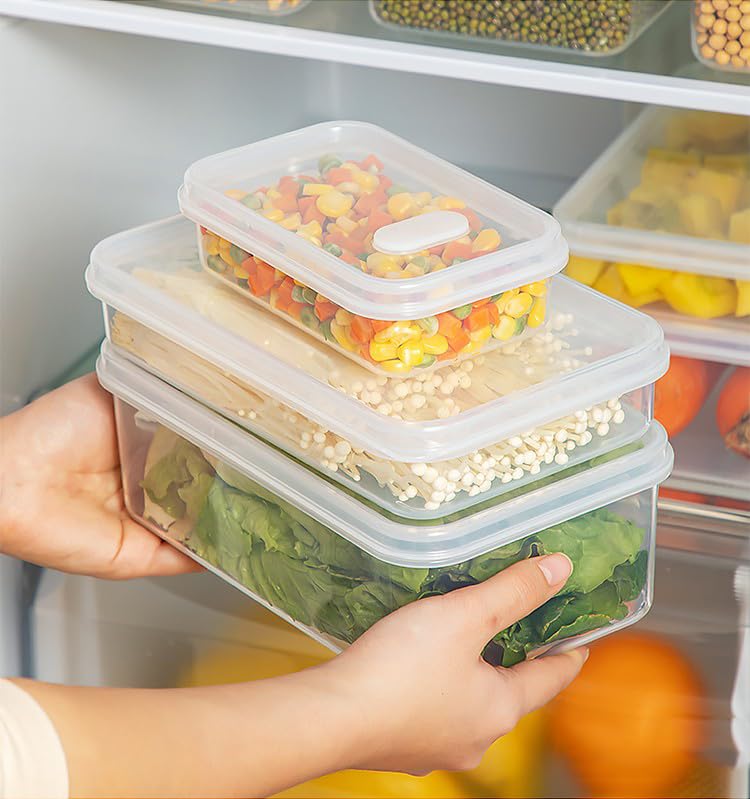 Naranqa Food Storage Containers Bins 11.02×8.85×1.81" Vegetable Organizer with Lid Clear Fridge Crisper Keep Food Fresh Kitchen Organizer Bins (1PACK-SMALL)