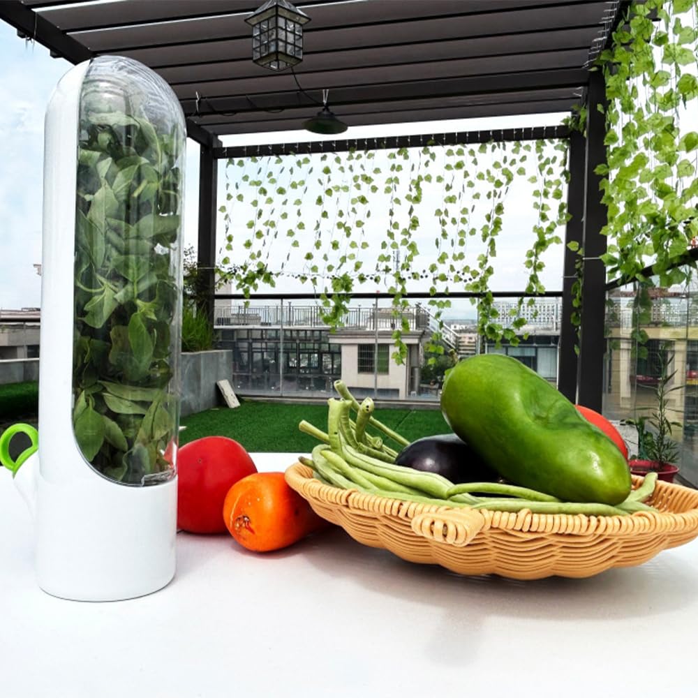 lygchii Herb Keeper for Refrigerator, 2pcs Fresh Cilantro Containers, Clear Herb Storage Container Glass, Keeps Vegetables Fresh for 2-3 Week for Cilantro, Mint, Parsley, Asparagus
