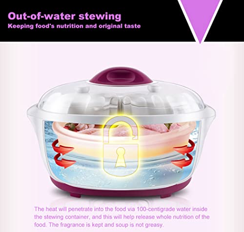 Tianji DDZ-16BWS Smart Twin Ceramic Pot Electric Stewpot with Steam tray,1.6L/300W