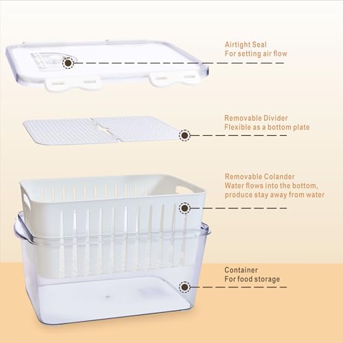 Rhewatin 3pc Fruit Storage Containers for Fridge with Time Keeper, Partitioned Vegetable Storage Containers for Refrigerator with Removable Colander and Divider, Airtight Lettuce Keeper, White