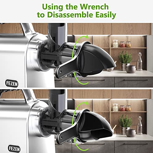 FEZEN Slow Masticating Juicer for Cold Press, Easy to Clean & Use, Celery Juice Extractor, Wheatgrass Juice Extractor, High Juice Yield & Fresh Taste (Silver)