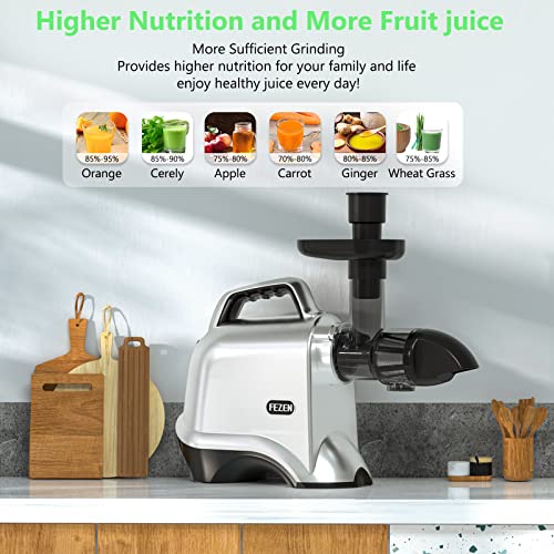 FEZEN Slow Masticating Juicer for Cold Press, Easy to Clean & Use, Celery Juice Extractor, Wheatgrass Juice Extractor, High Juice Yield & Fresh Taste (Silver)