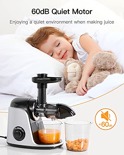 Juicer Machine, Slow Masticating Juicer with 2 Speed Modes & Reverse Function, Easy to Clean Juicer BPA-Free Cold Press Juicer with Quiet Motor, Includes Cleaning Brush & Recipes for Vegetables and Fruits