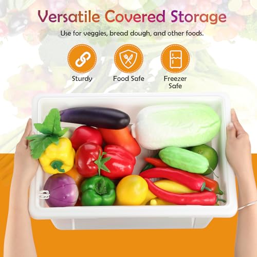 Barydat 2 Pack Food Storage Box Tote, Freezer and Dishwasher Safe Commercial Food Storage Containers Bins with Lids for Fruits Vegetables Grains Home Organization, White(5 Gallon)