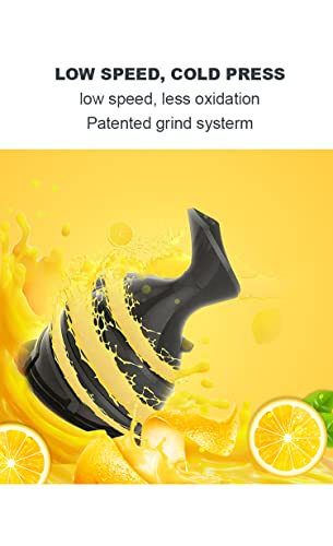 Cold Press Juicer, Qvin Slow Masticating Juicer Machines with Big Wide Chute, Nutrient Electric juicer machines Vegetable And Fruit, slow Juicer Machine BPA-Free, Easy to Clean,extractor de jugos y vegetales
