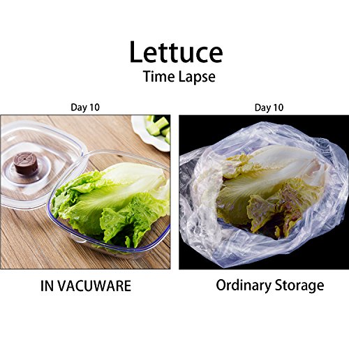 GERYON Vacuum Seal Container for Food Preservation, 2.1 QUART(2 LITER)Work with GERYON Vacuum Sealer Machine