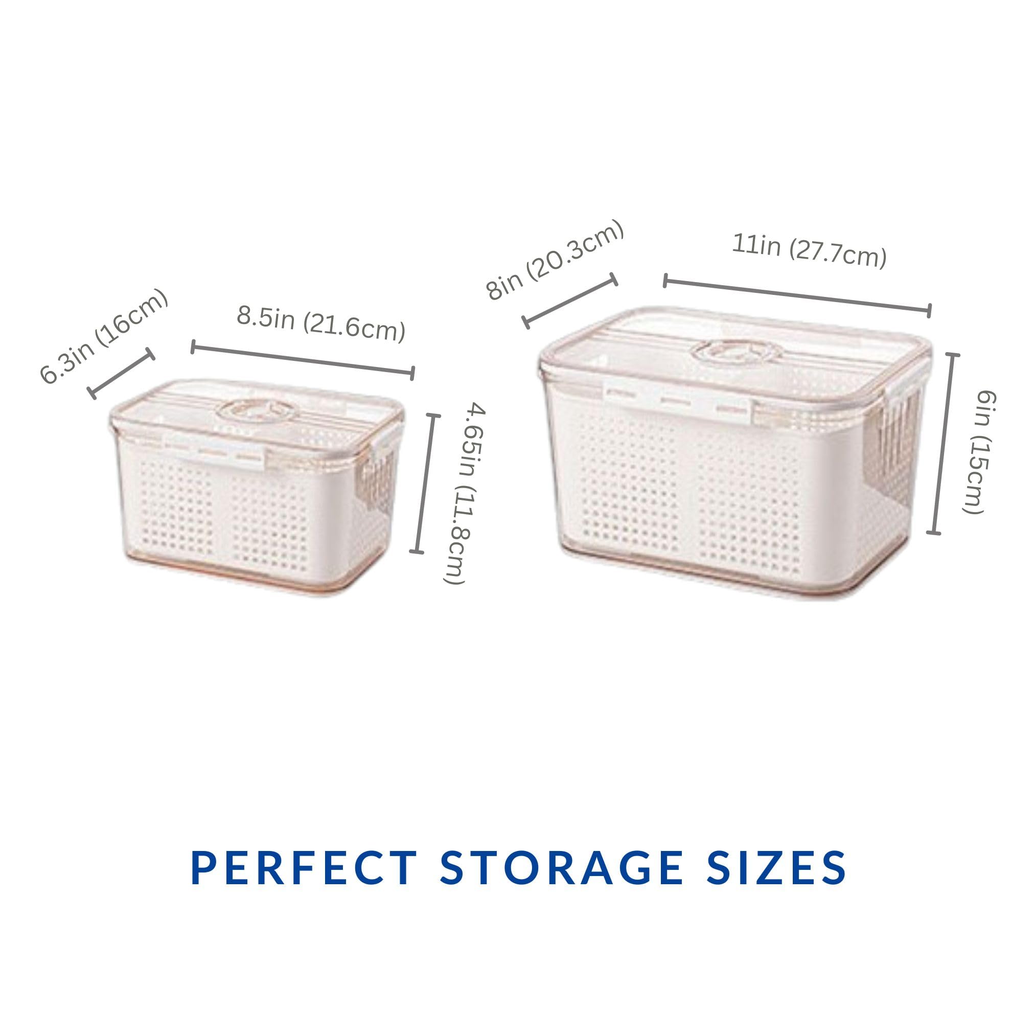 STERLING HOME ESSENTIALS Time Lock Drain Basket (SHETLBS1M1)