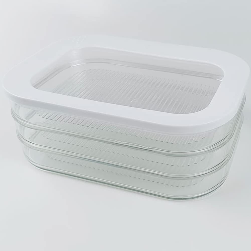 Dewedrt 1.6L with 3 Tier Meat Pieces Storage Box Airtight Lid Dishwasher Safe 3Layer Crisper