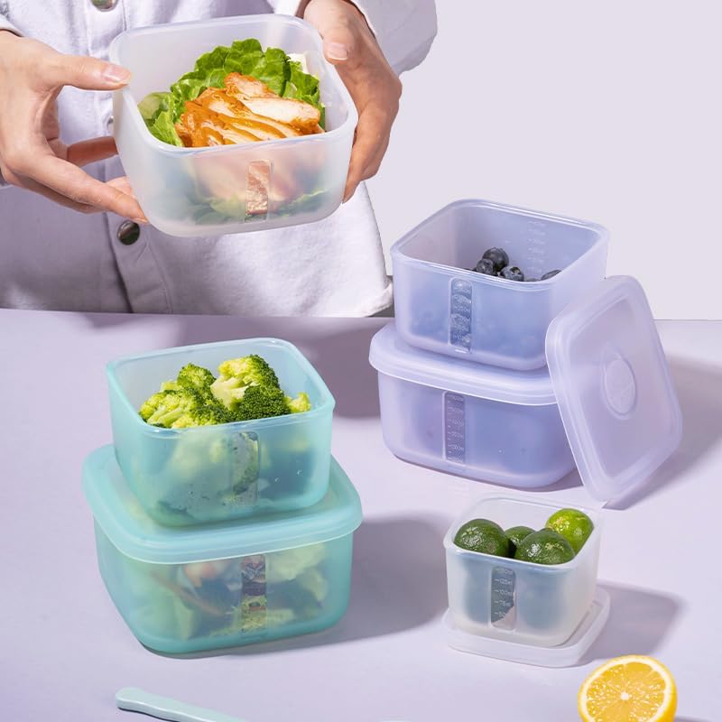 OTB Set of 2 Reusable Silicone Containers Clear, Nesting Leak-free Silicone Food Storage Boxes, BPA Free, Airtight, Dishwasher and Freezer Safe