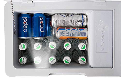 Alpicool C22 Portable Freezer,12 Volt Car Refrigerator with Ice Tray, 23 Quart (22 Liter) Fast Cooling 12V Car Fridge -4℉~68℉, 12/24V DC and 100-240V AC for Outdoor, RV, Truck, Boat (White)