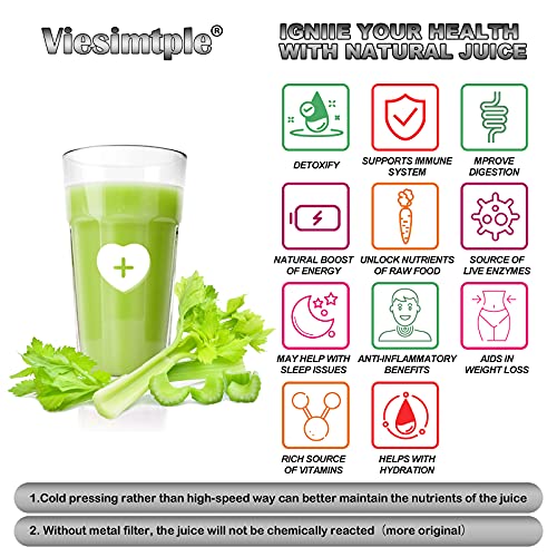 Viesimple Masticating Juicer Cold Press Juicers Machine Easy to Clean Slow Juicer Extractor for Vegetable Fruit Juice Smoothies, Large WIDE 3.15β Turn Over Wide Chute, Quite Low db Juicer Machine