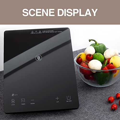 KOCONIC 1600W Infrared Single Burner,Hot Plates for cooking,8 Power Levels&24 Hours Setting,7.8 Inch Ceramic Glass Portable Electric Stove for Home Cooking