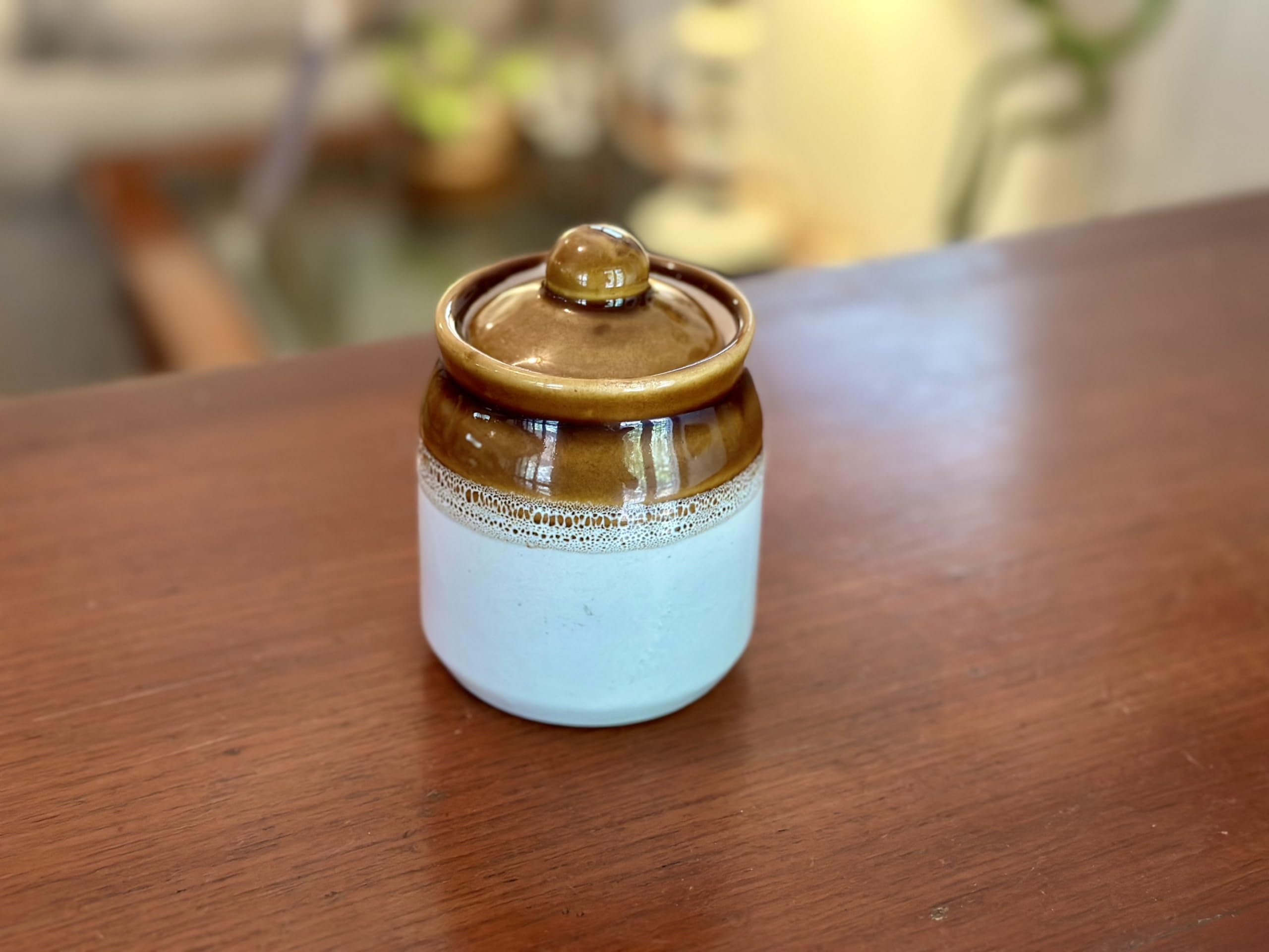 Decorative Ceramic Jar With Lid For Kitchen Pantry Countertop Home Dining Table Accessories Condiment Pickle Spice Coffee Tea Caddy Sugar Salt Herbs Food Storage Canister Holder Hand Painted