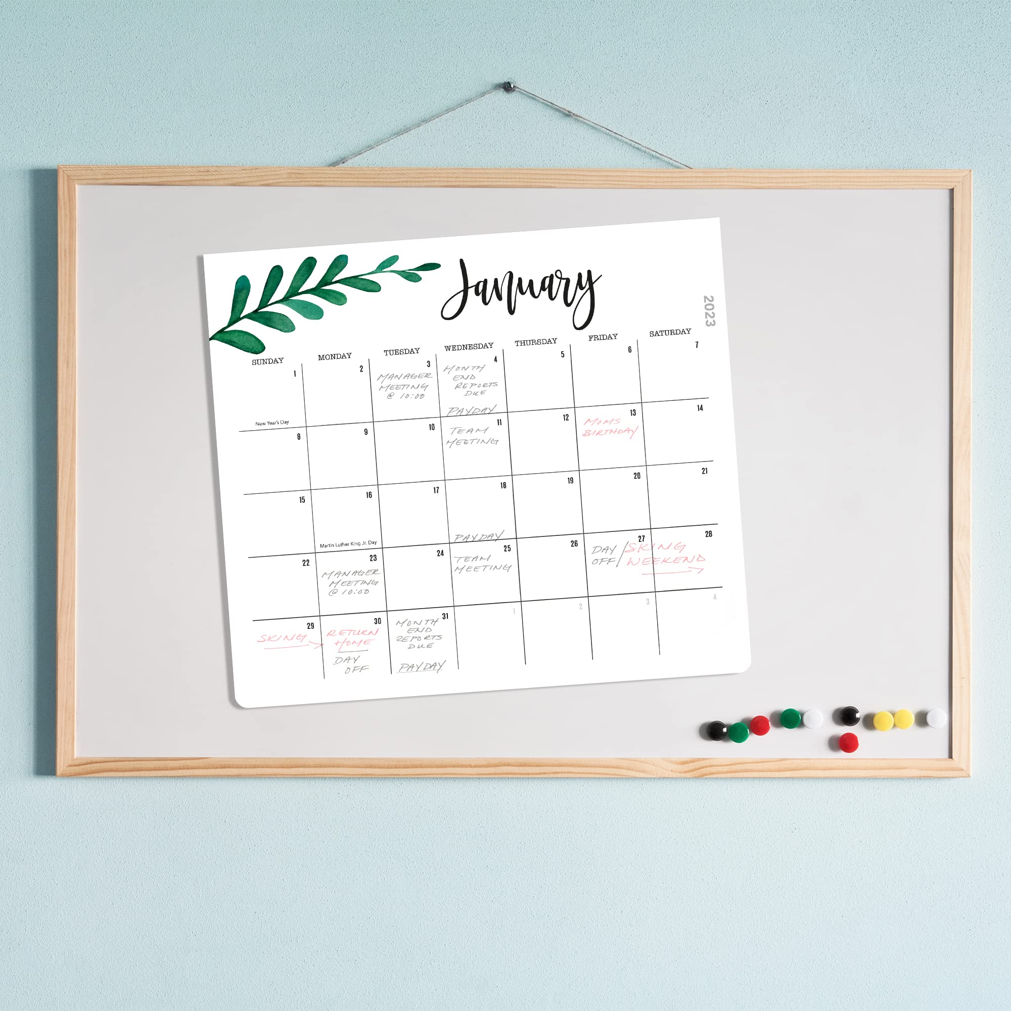 Beautiful Magnetic Fridge Calendar - Runs Until December 2023 - The Perfect Monthly Calendar With Seasonal Designs for Easy Planning