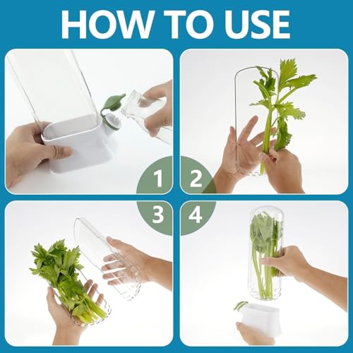 XALVA Herb Saver Pod for Refrigerator - 1 Pack Space-Saving Fresh Herb Keeper for Refrigerator - Herb Preserver for Cilantro, Mint & Asparagus - Cilantro Container for Fridge - Fresh Herb Storage