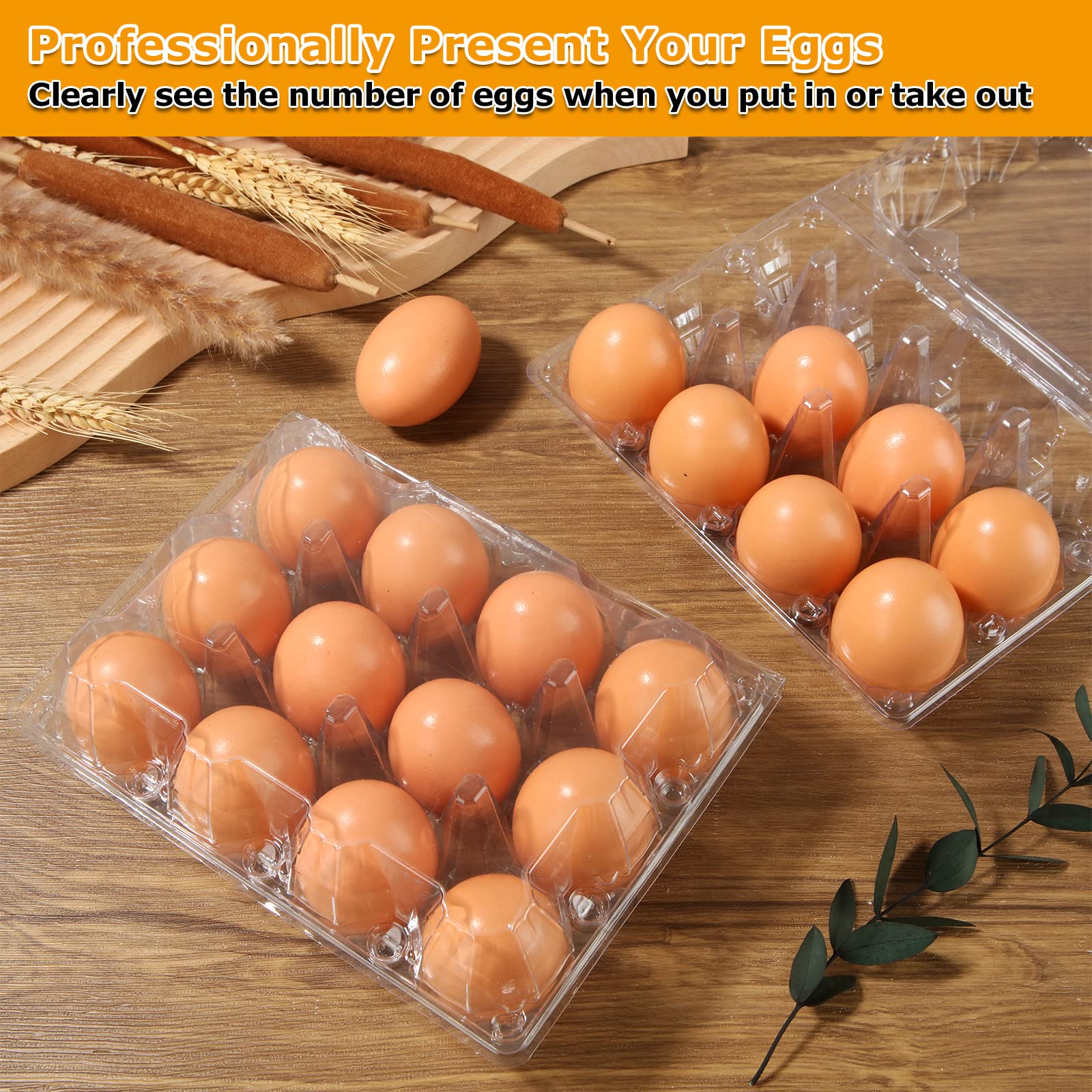 LISHINE 40 Pack Egg Cartons Cheap Bulk, Reusable Plastic Egg Cartons for Chicken Eggs, 1 Dozen Holds up to 12 Eggs, Clear Empty Reusable Egg Carton for Home Ranch Chicken Farm