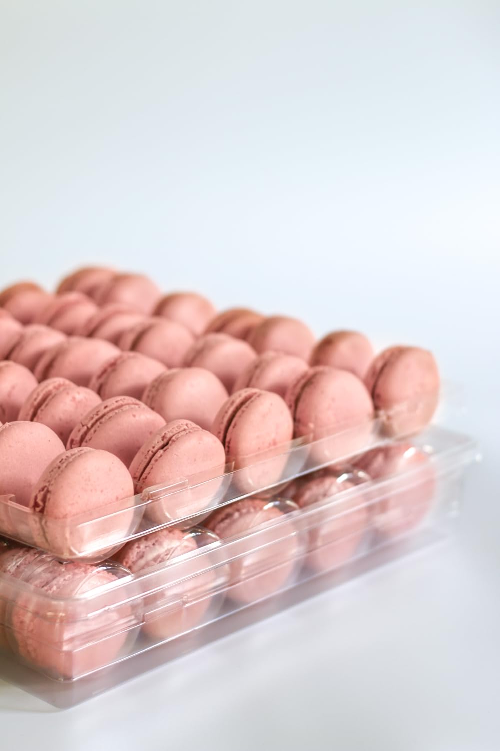Vend Exchange Macaron Storage Freezer box - Large Storage Box with 2 Macaron Containers - Stores 70 Macarons