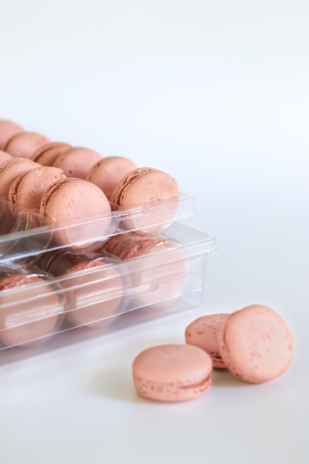 Vend Exchange Macaron Storage Freezer box - Large Storage Box with 2 Macaron Containers - Stores 70 Macarons