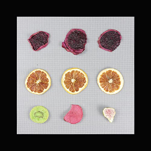 Auroal 10 Pack Silicone Dehydrator Sheets, Apply to dehydrator & Freeze Dryer, Non Stick Dryer Mats, for Meat, Beef, Jerky, Herbs, with High Temperature Resistance Easy to Clean, Square 14x14 in